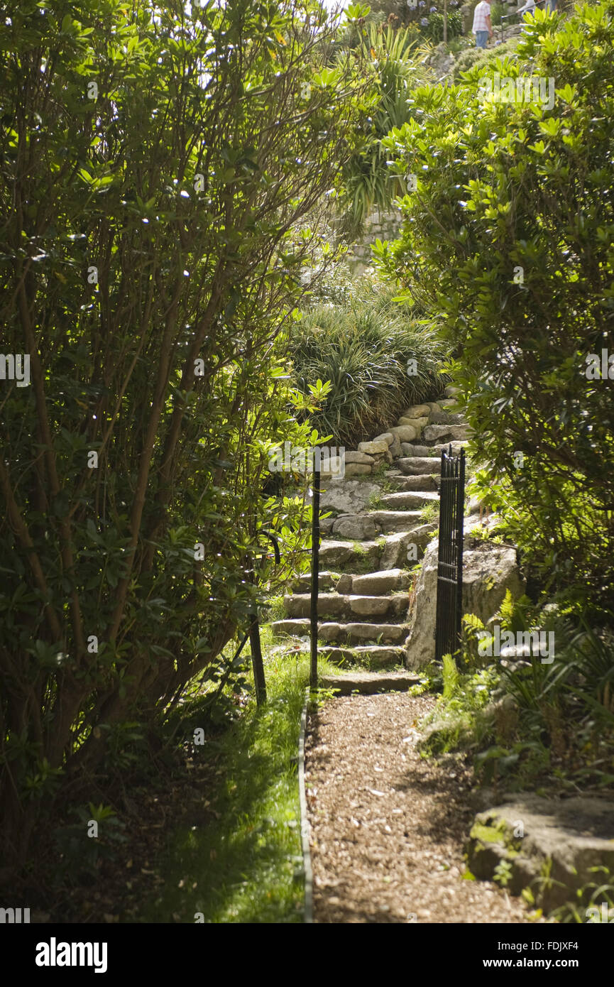 Stone steps and path up the steep cliffs on the West Penwith coast ...