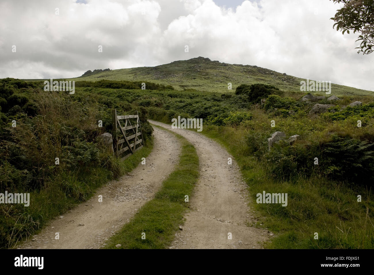 A track and an open gate on Bosigran Farm, Cornwall Stock Photo - Alamy