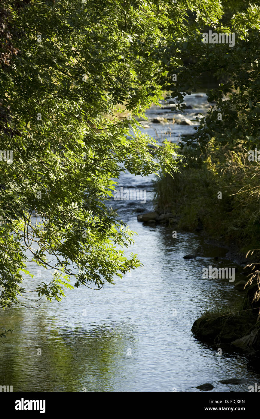 The river which powers Patterson's Spade Mill, Co. Antrim, Northern ...