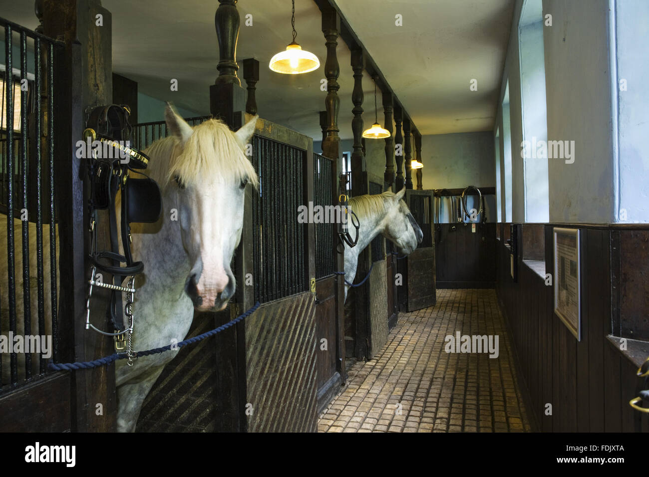 19th century horse stables hi-res stock photography and images - Alamy