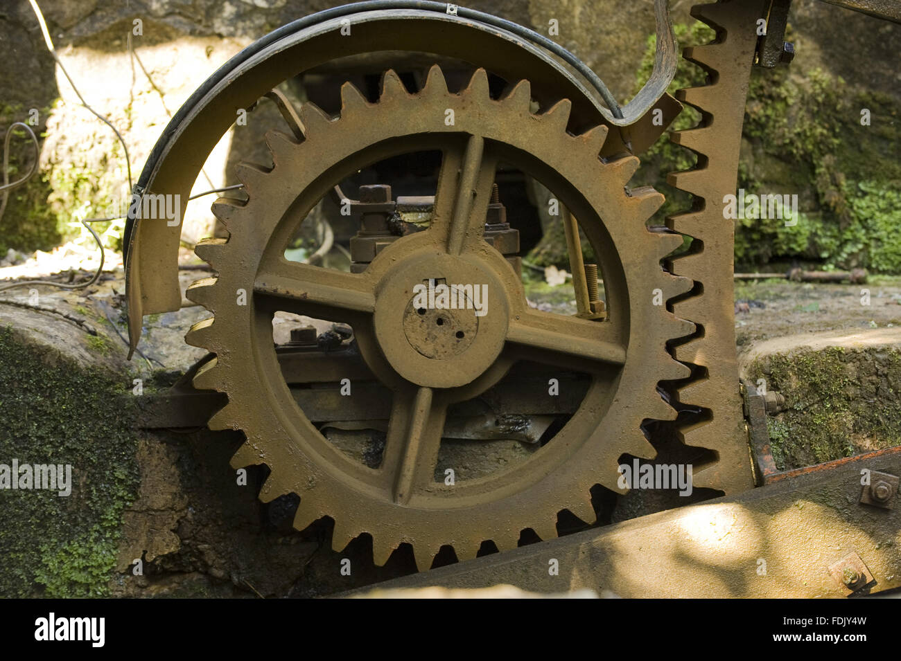 C19th cog wheel in the estate buildings at Florence Court, Co ...