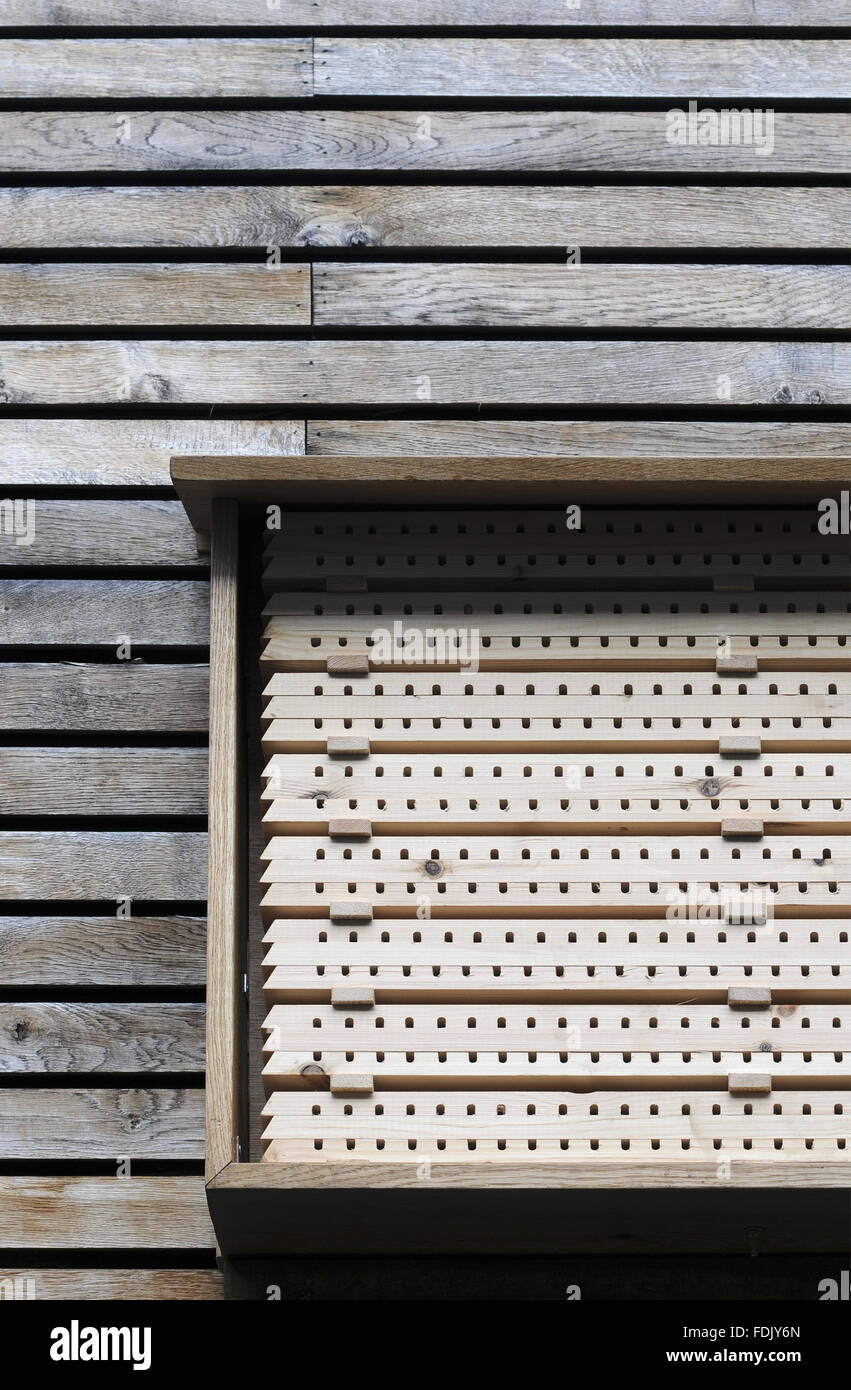 Mason Beehive situated high on the wood cladding in the south courtyard ...