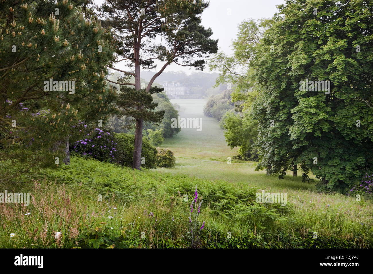 Antony estate cornwall hi-res stock photography and images - Alamy