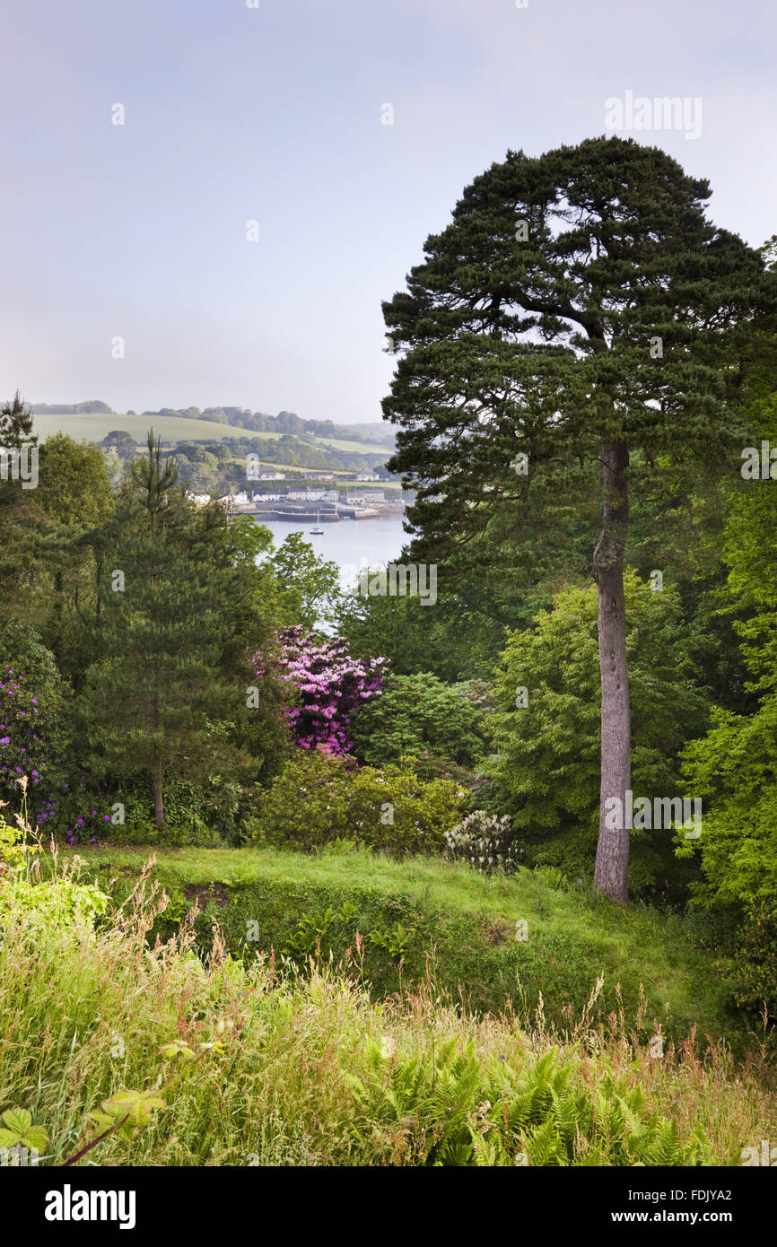 The view from Jupiter Point down to the Lynher River at Antony ...