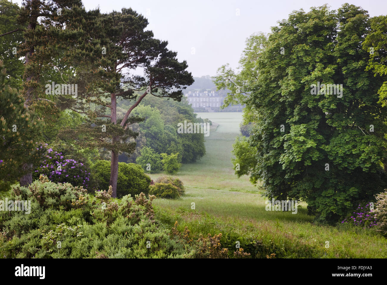 Antony estate cornwall hi-res stock photography and images - Alamy