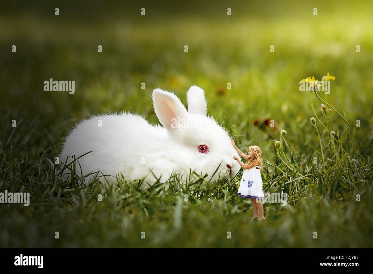 Little girl stroking big rabbit Stock Photo - Alamy