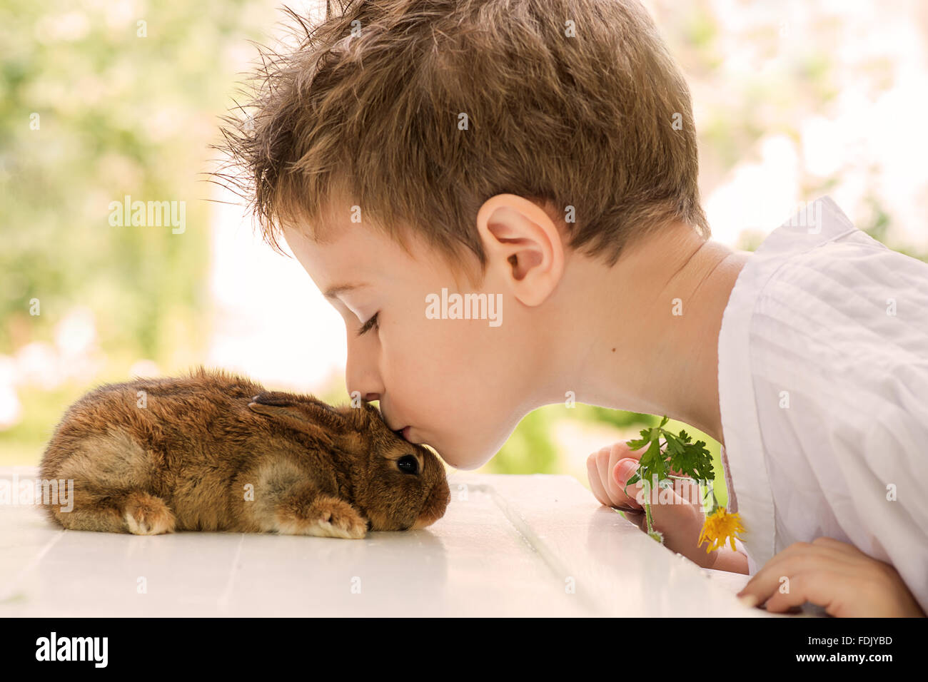 Boy kissing pet rabbit Stock Photo - Alamy