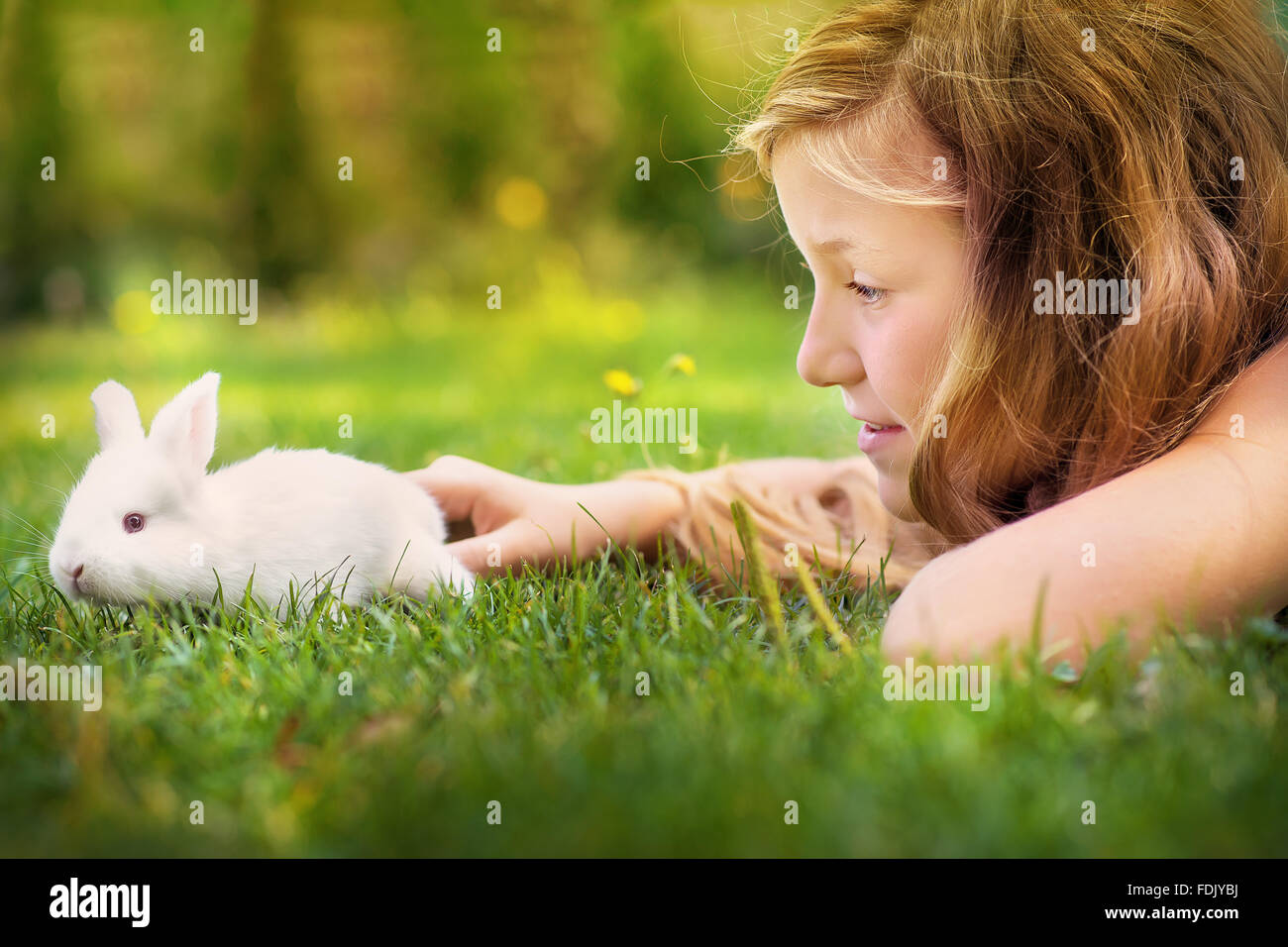 Girl stroking pet rabbit Stock Photo - Alamy