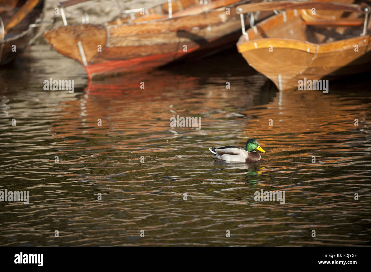 Friars crag boat hi-res stock photography and images - Alamy