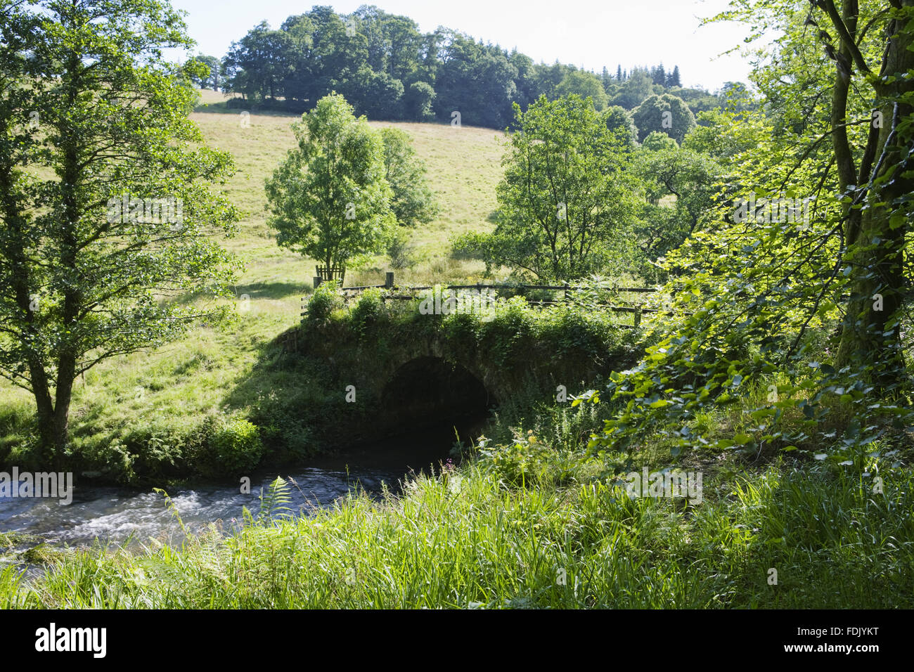 Bridge over the River Yeo on the estate at Arlington Court, Devon Stock ...