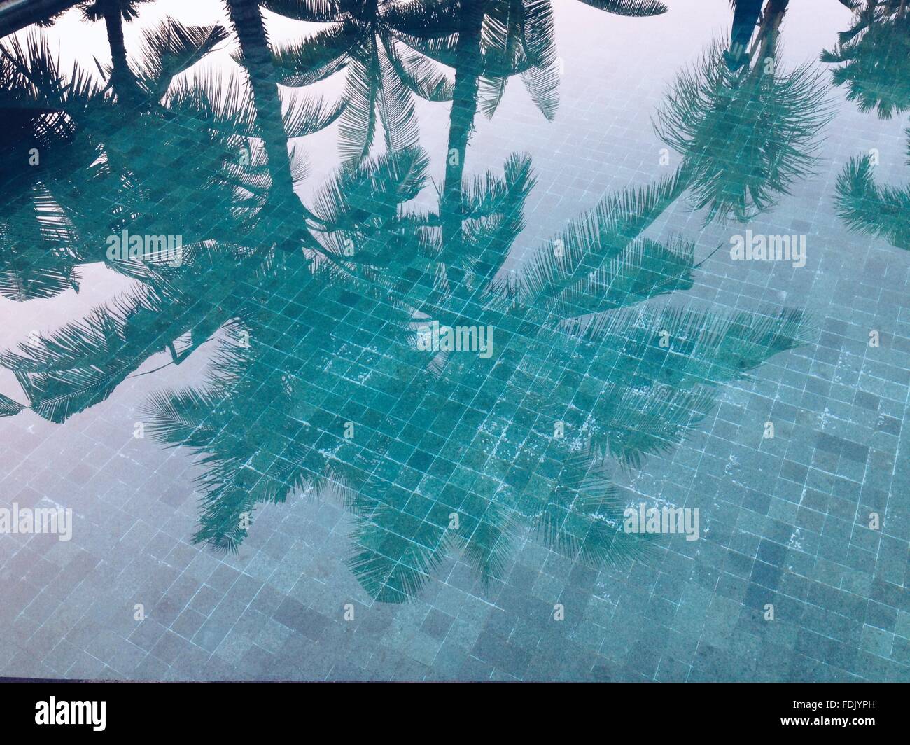 Reflection of palm trees in swimming pool, Bali, Indonesia Stock Photo ...