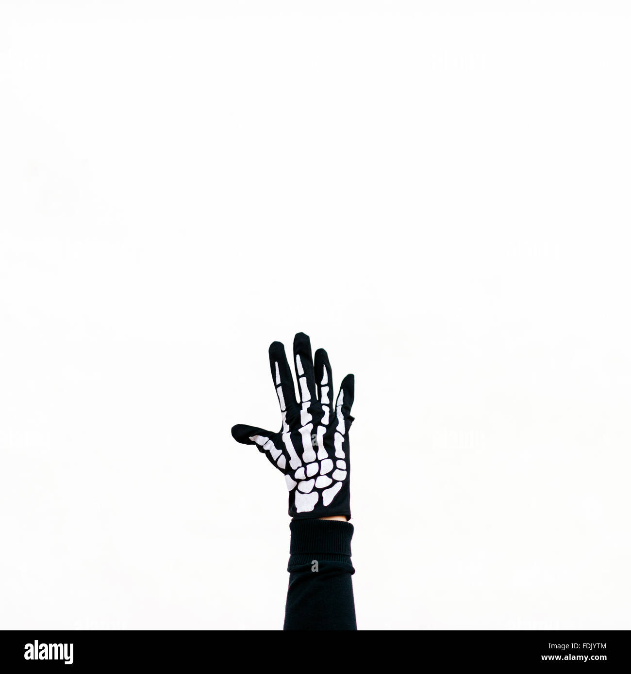 Skeleton Of The Hand Stock Photos & Skeleton Of The Hand Stock Images ...