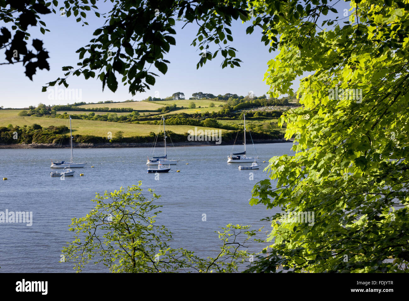 Boats at their moorings on the Lynher River at Antony, Cornwall Stock ...