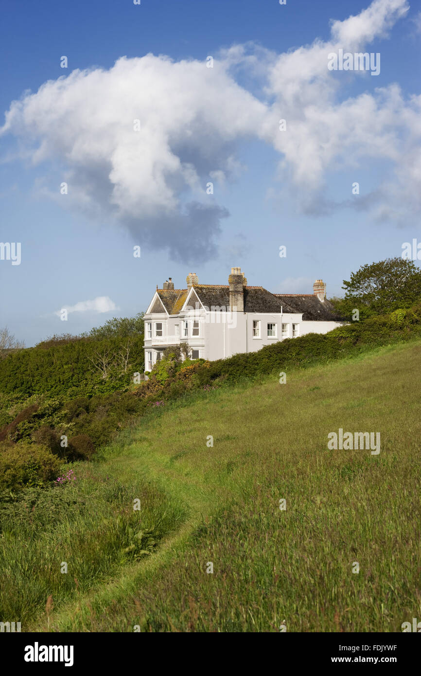Camomile lawn tv hi-res stock photography and images - Alamy