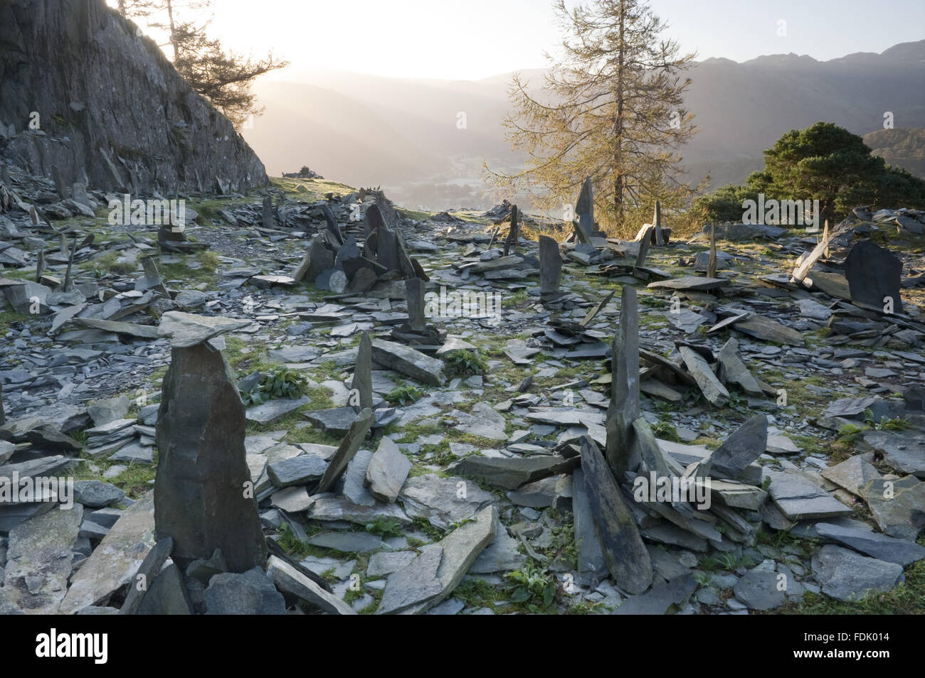 The sculptural remains of the slate quarrying carried out at Castle ...