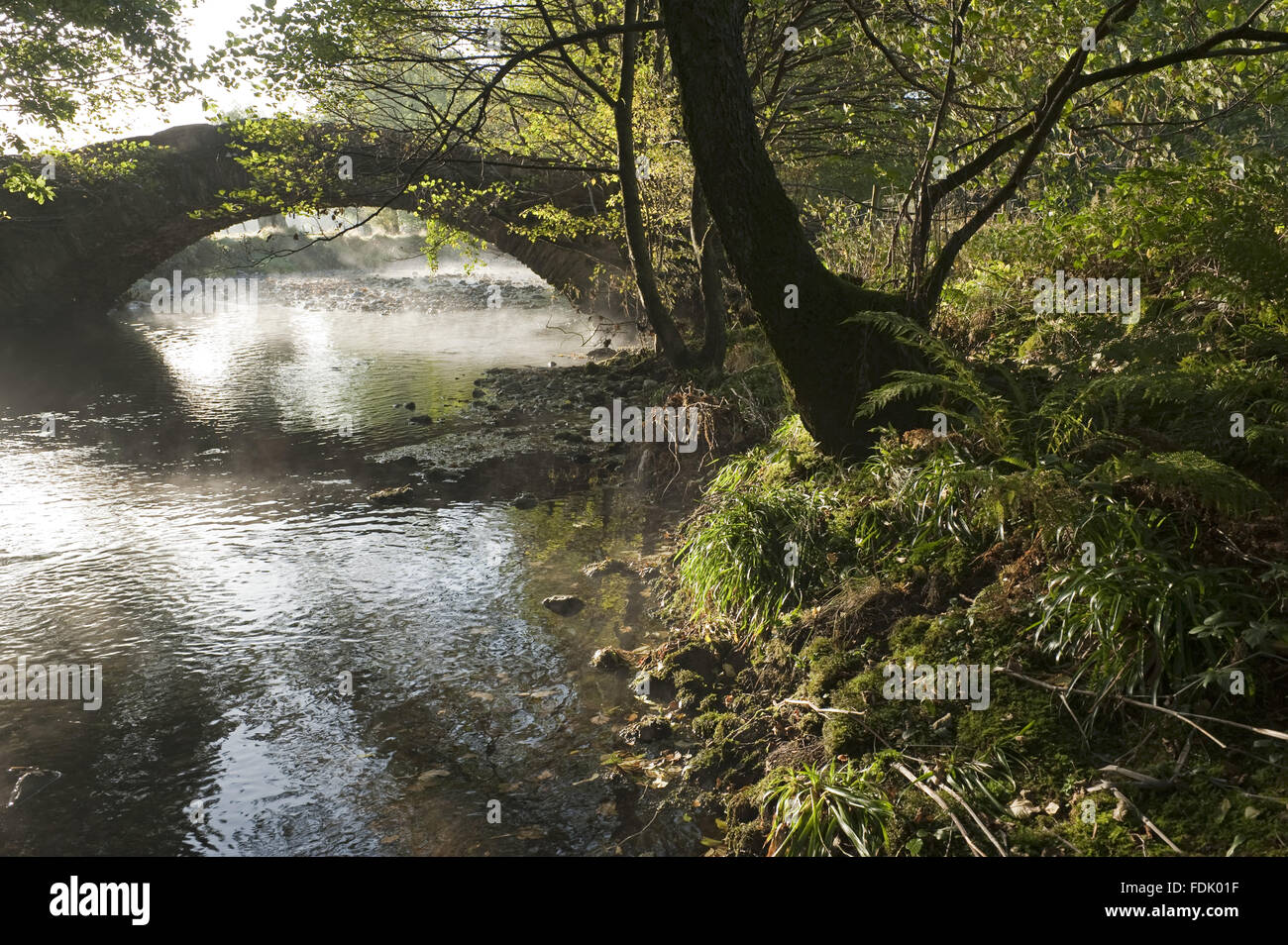 New Bridge the traditional stone-built bridge over the River Derwent ...