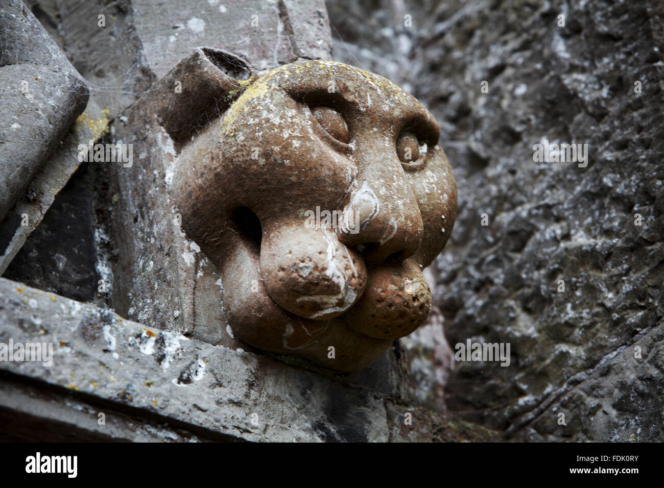 Norman stone carving hi-res stock photography and images - Alamy