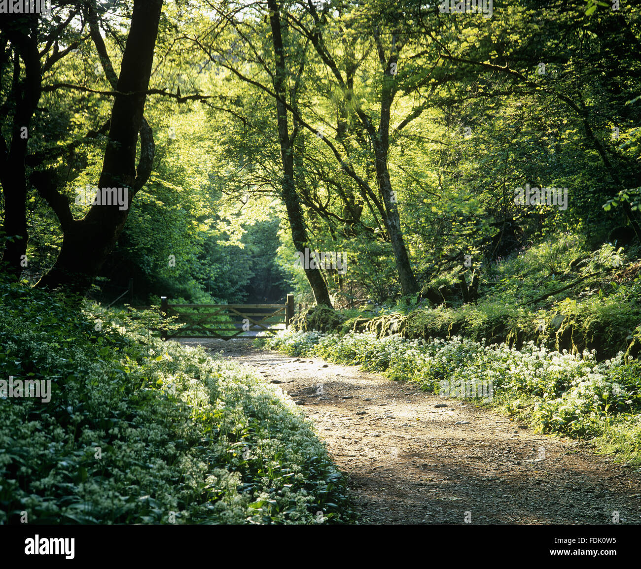 Black path hi-res stock photography and images - Alamy