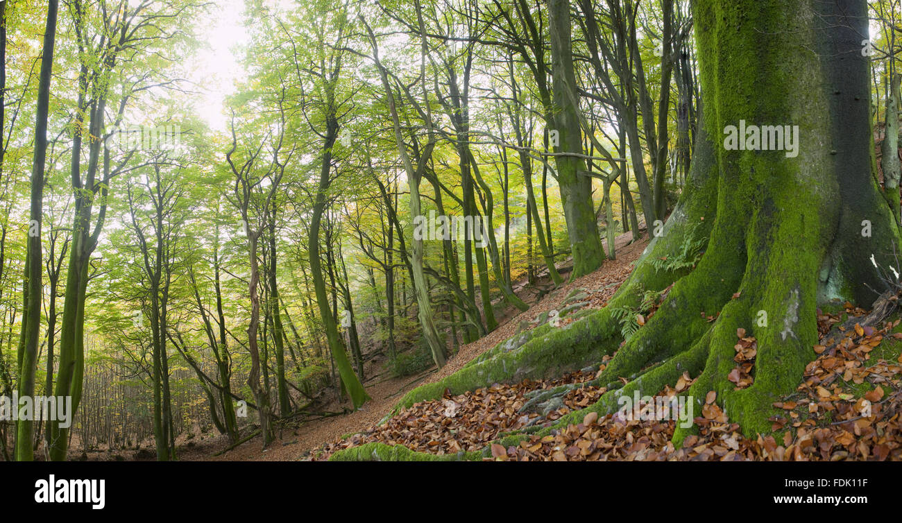 Black slope hi-res stock photography and images - Alamy