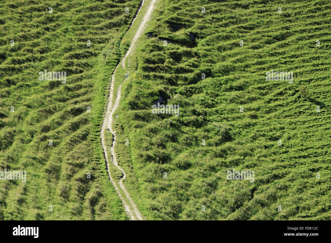 Chalk path seen from overhead at Devil's Dyke, South Downs, West Sussex ...