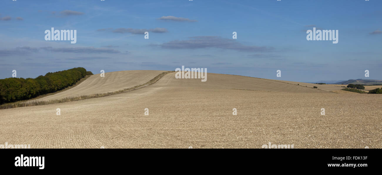 Bignor hill view hi-res stock photography and images - Alamy