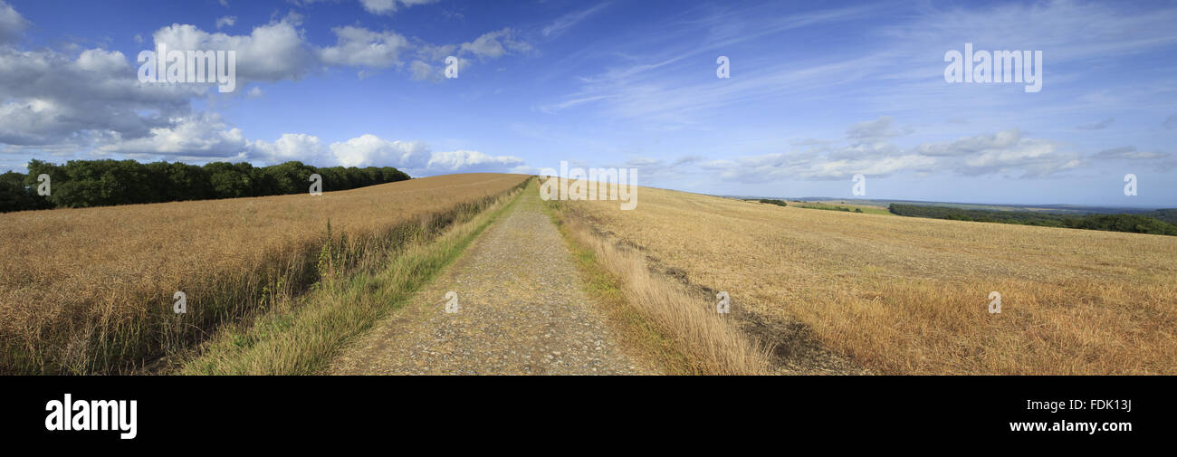 Panoramic view east along the South Downs Way at Bignor Hill in July ...