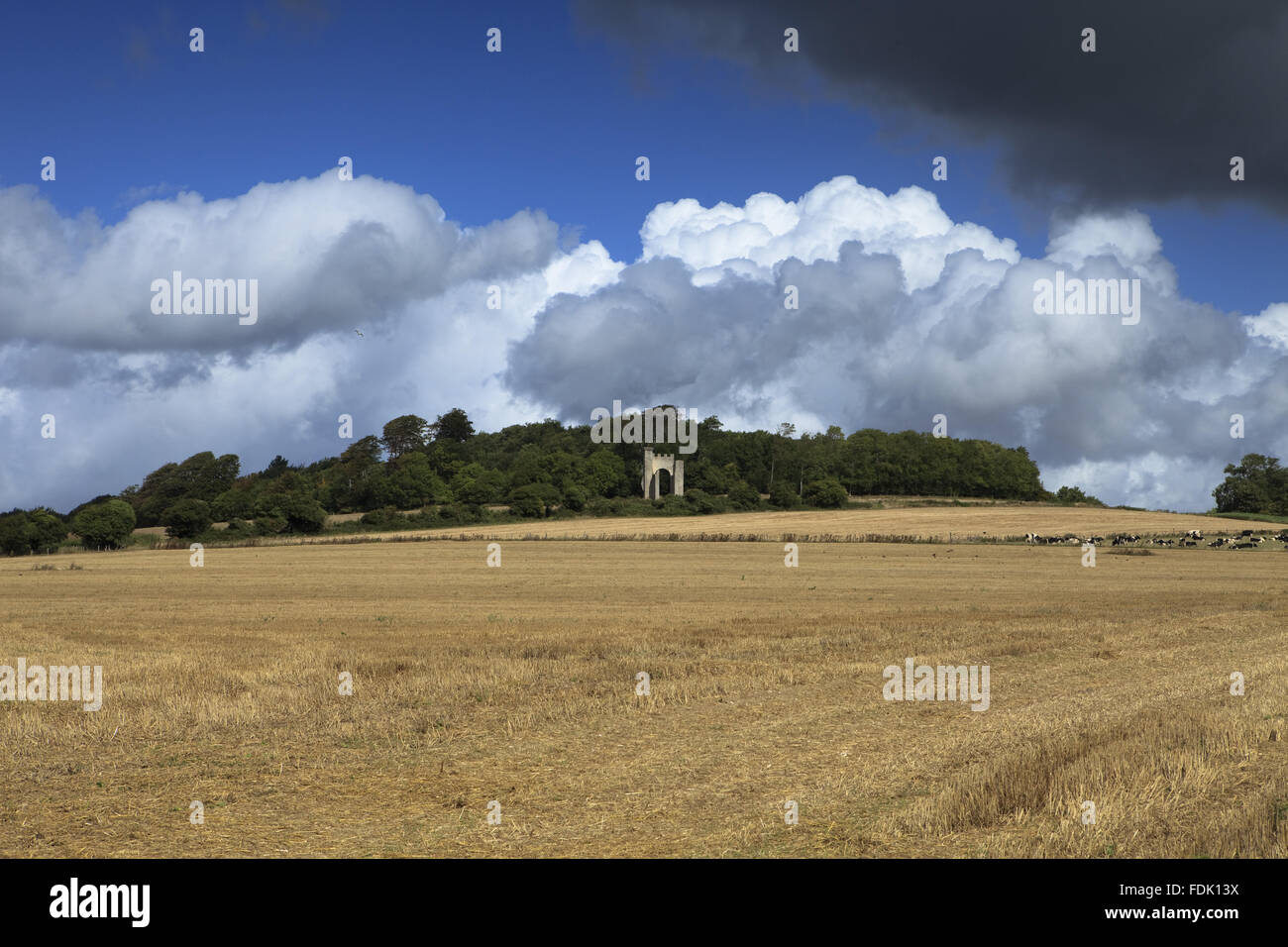 Slindon estate hi-res stock photography and images - Alamy