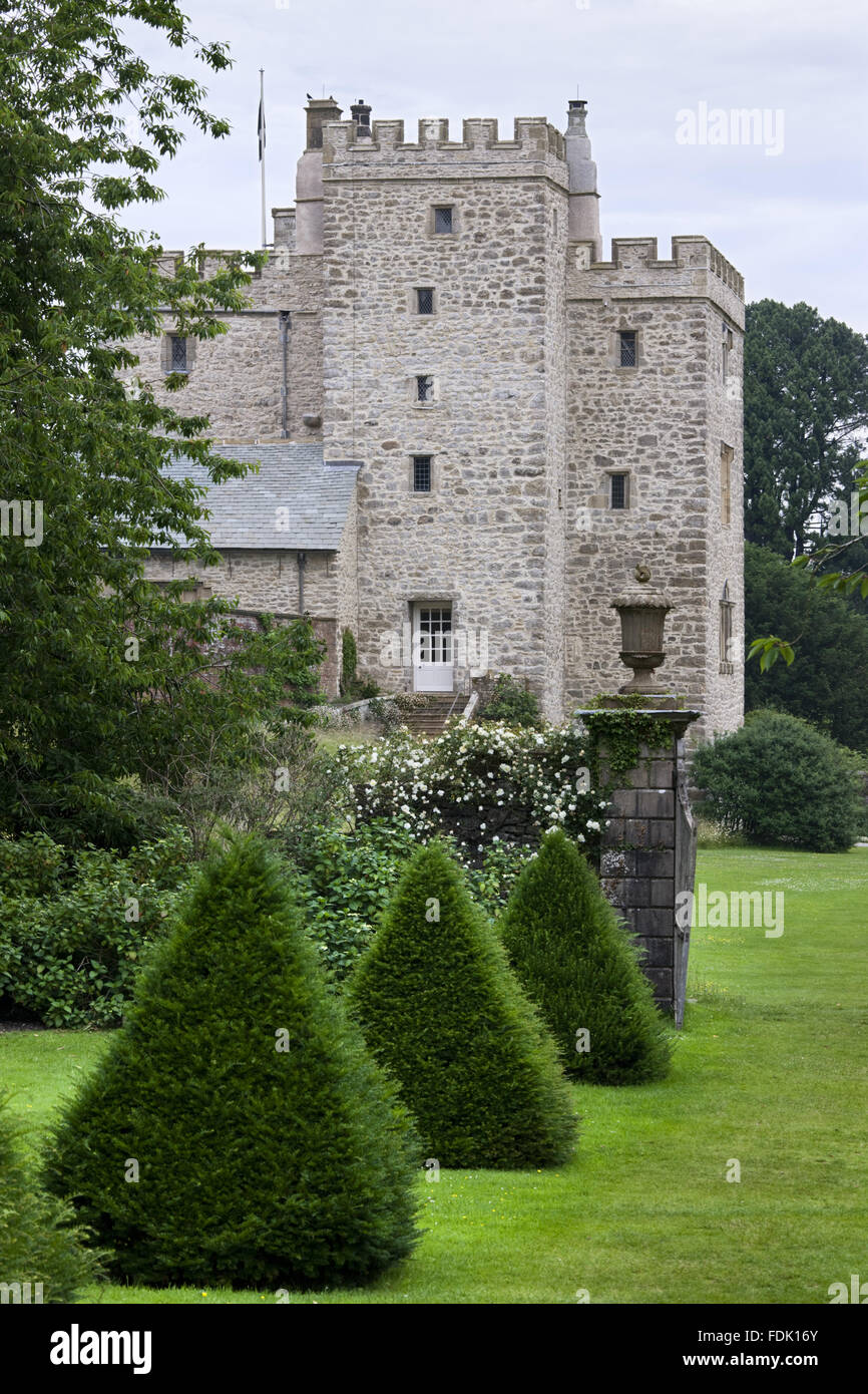 Yew tree pyramid hi-res stock photography and images - Alamy