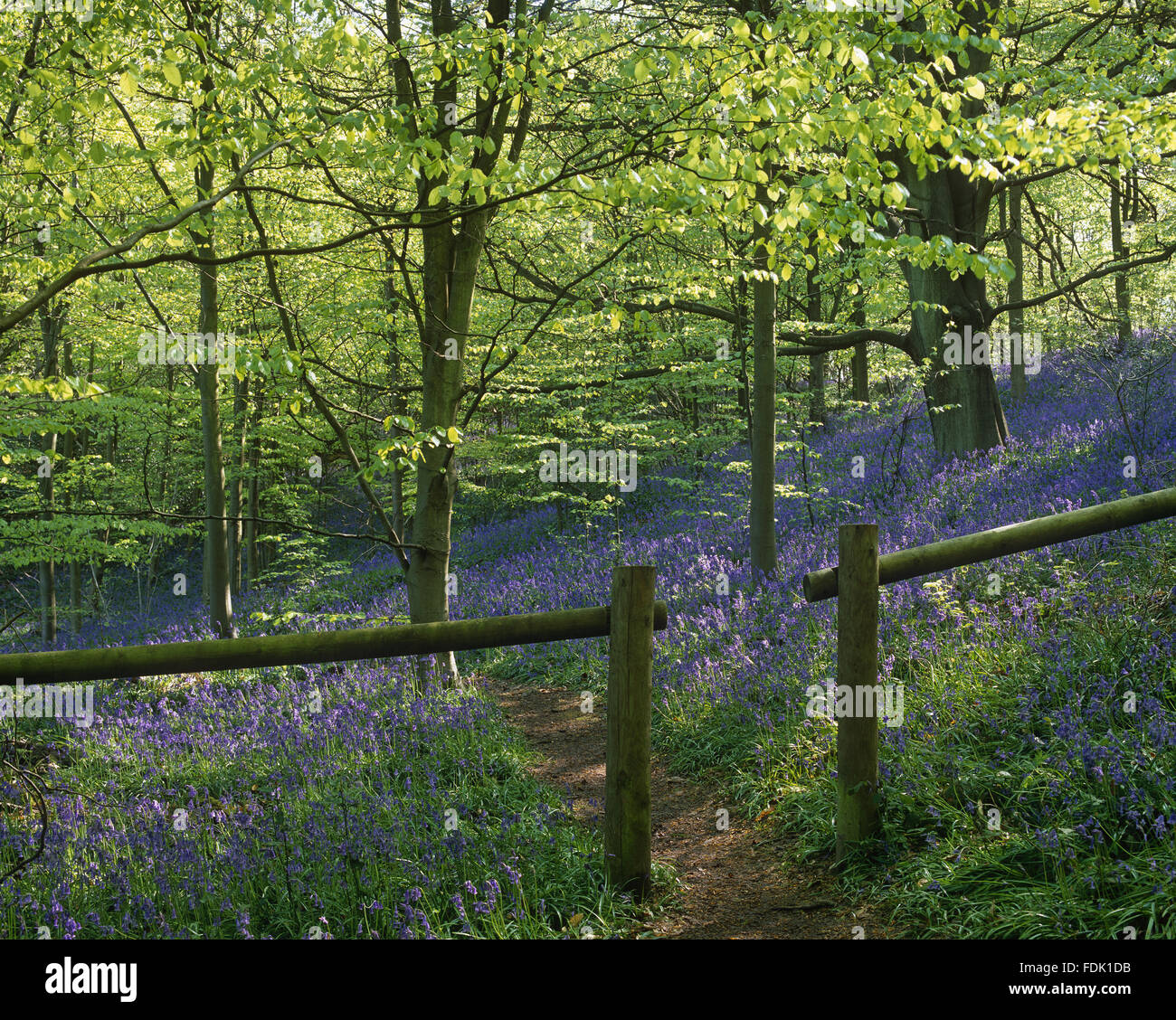 The mariners kent hi-res stock photography and images - Alamy