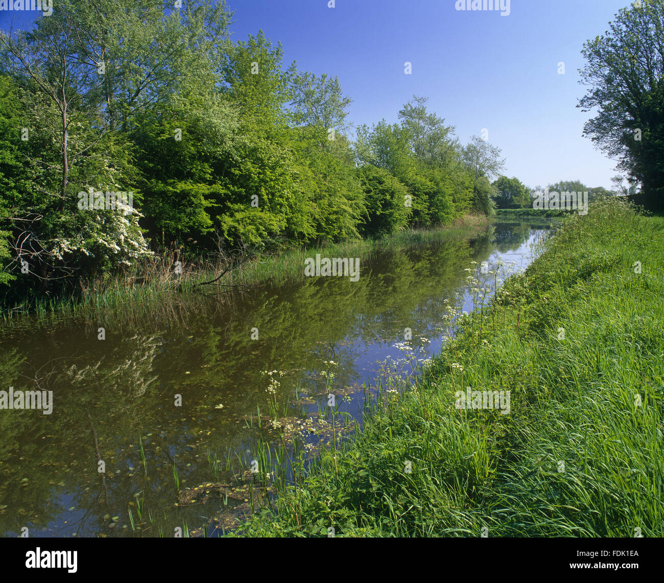 Warehorne kent hi-res stock photography and images - Alamy