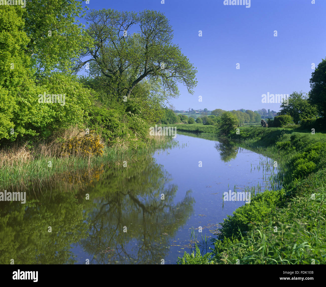 Rmc5 hi-res stock photography and images - Alamy