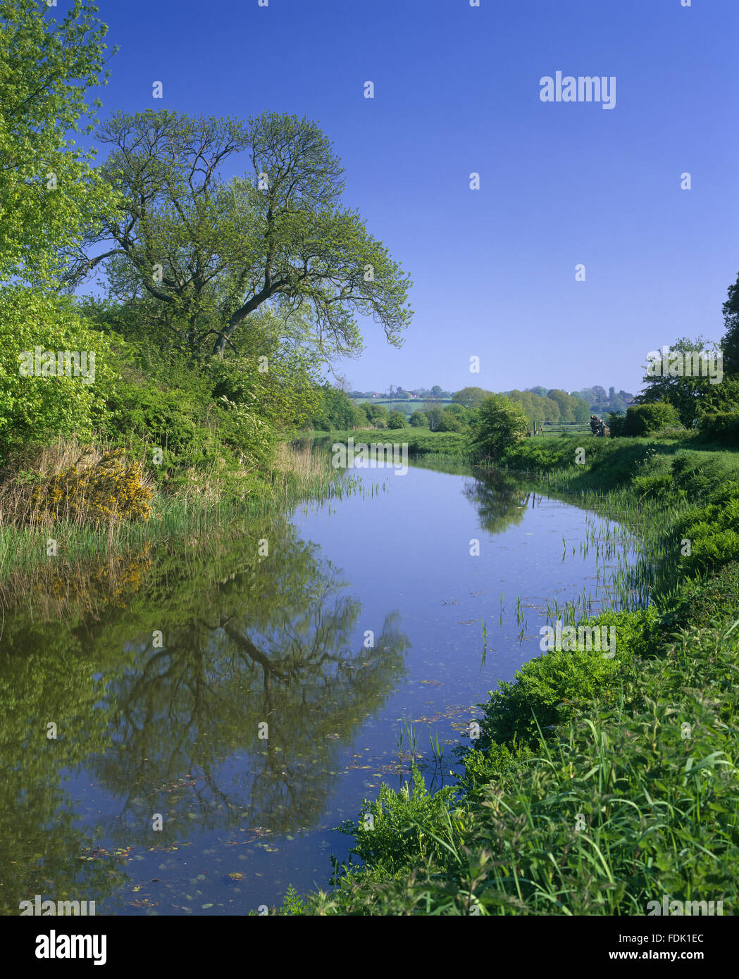 Warehorne canal hi-res stock photography and images - Alamy