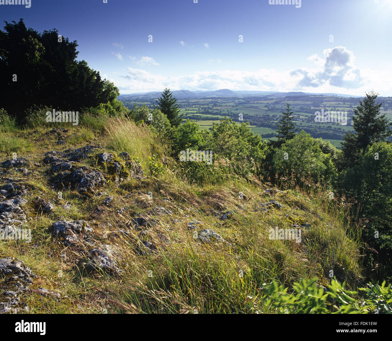 A summer view from the escarpment Wenlock Edge at Hill Top, Shropshire ...