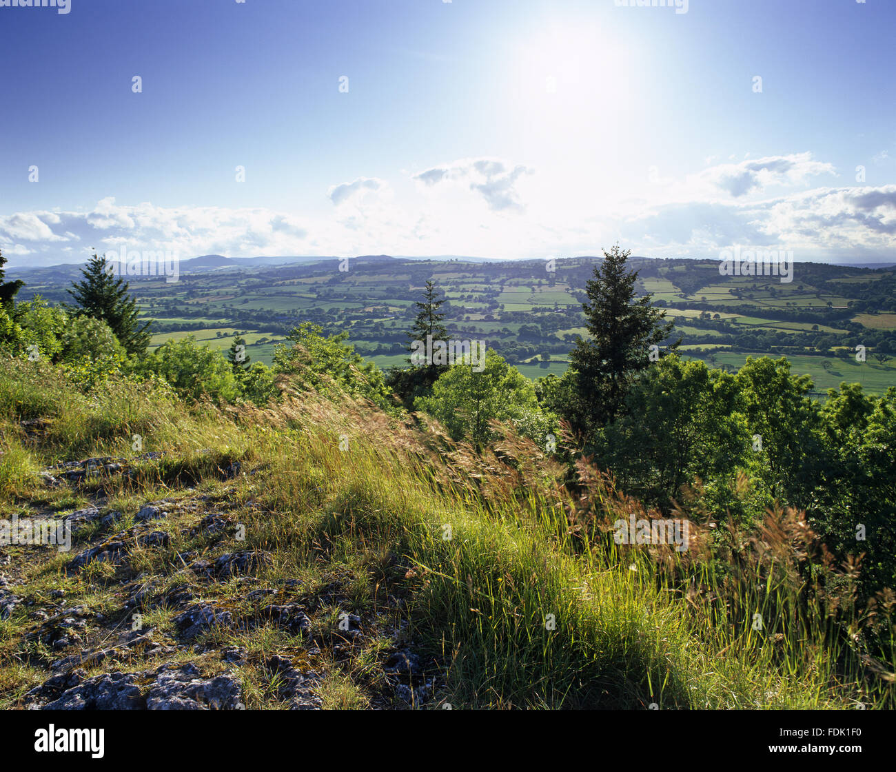 Edge hill library hi-res stock photography and images - Alamy