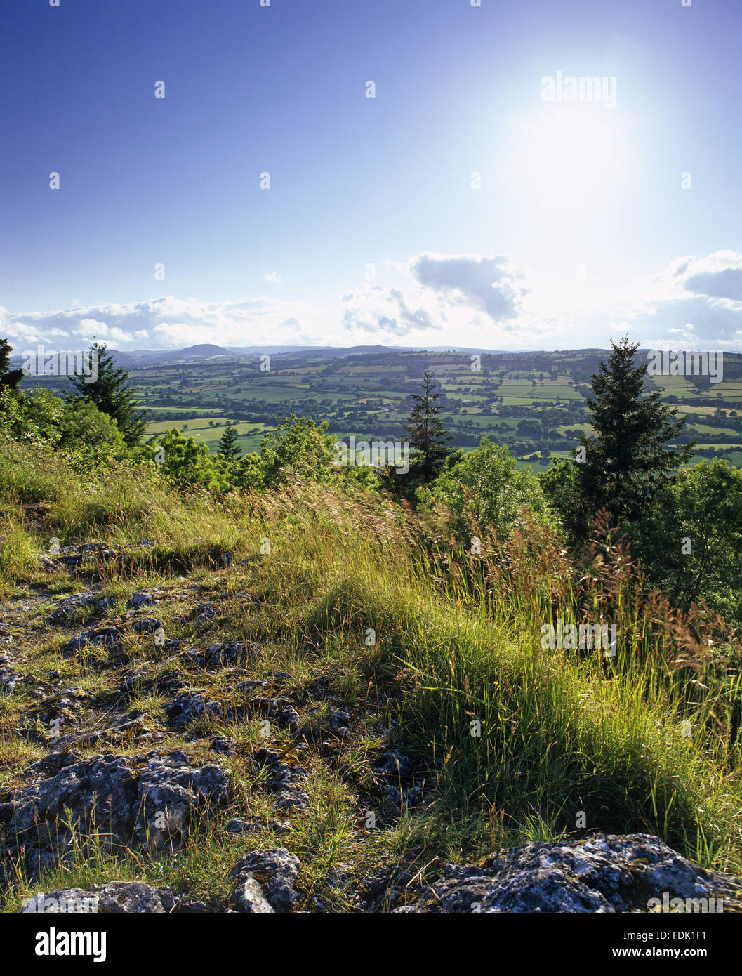 A summer view from the escarpment Wenlock Edge at Hill Top, Shropshire ...
