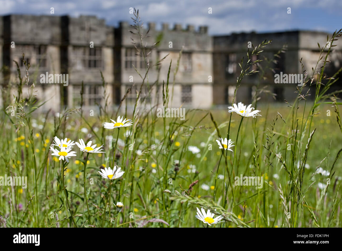 Gibside hall hi-res stock photography and images - Alamy
