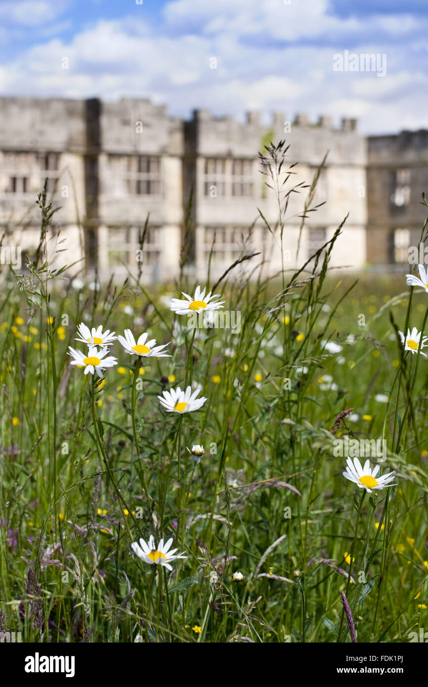 Gibside hall hi-res stock photography and images - Alamy
