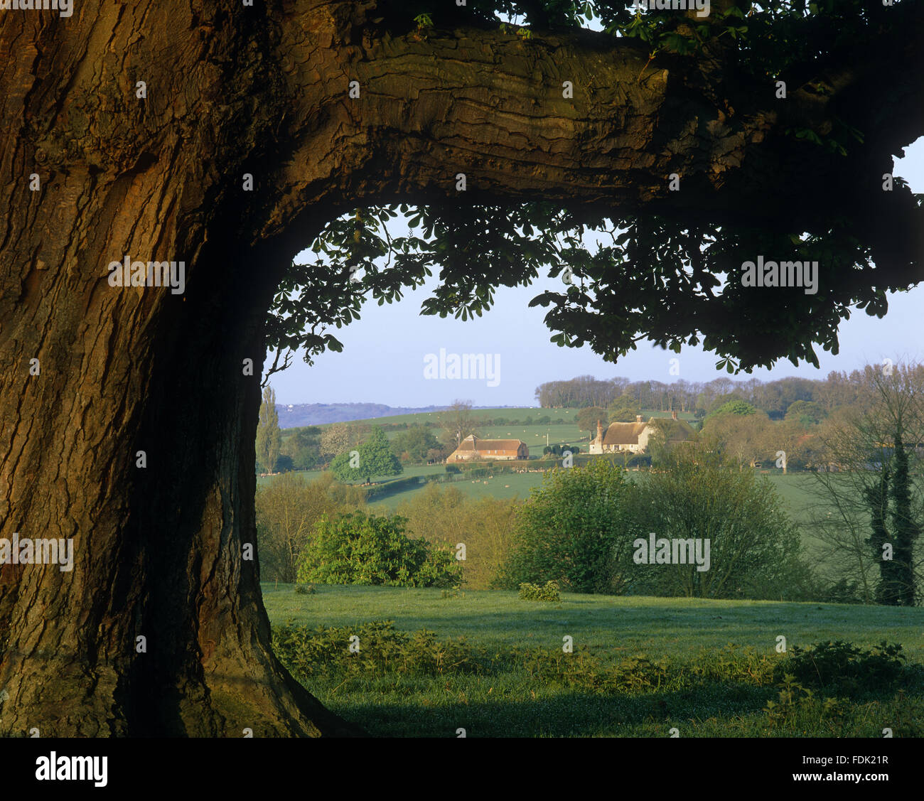 East wickham hi-res stock photography and images - Alamy