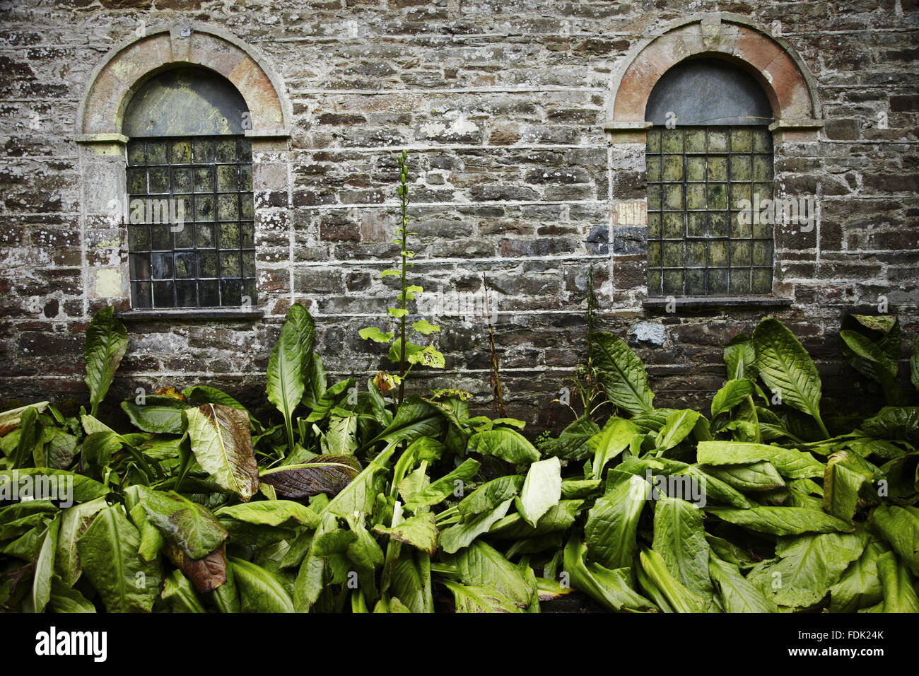 Old arched windows hi-res stock photography and images - Alamy