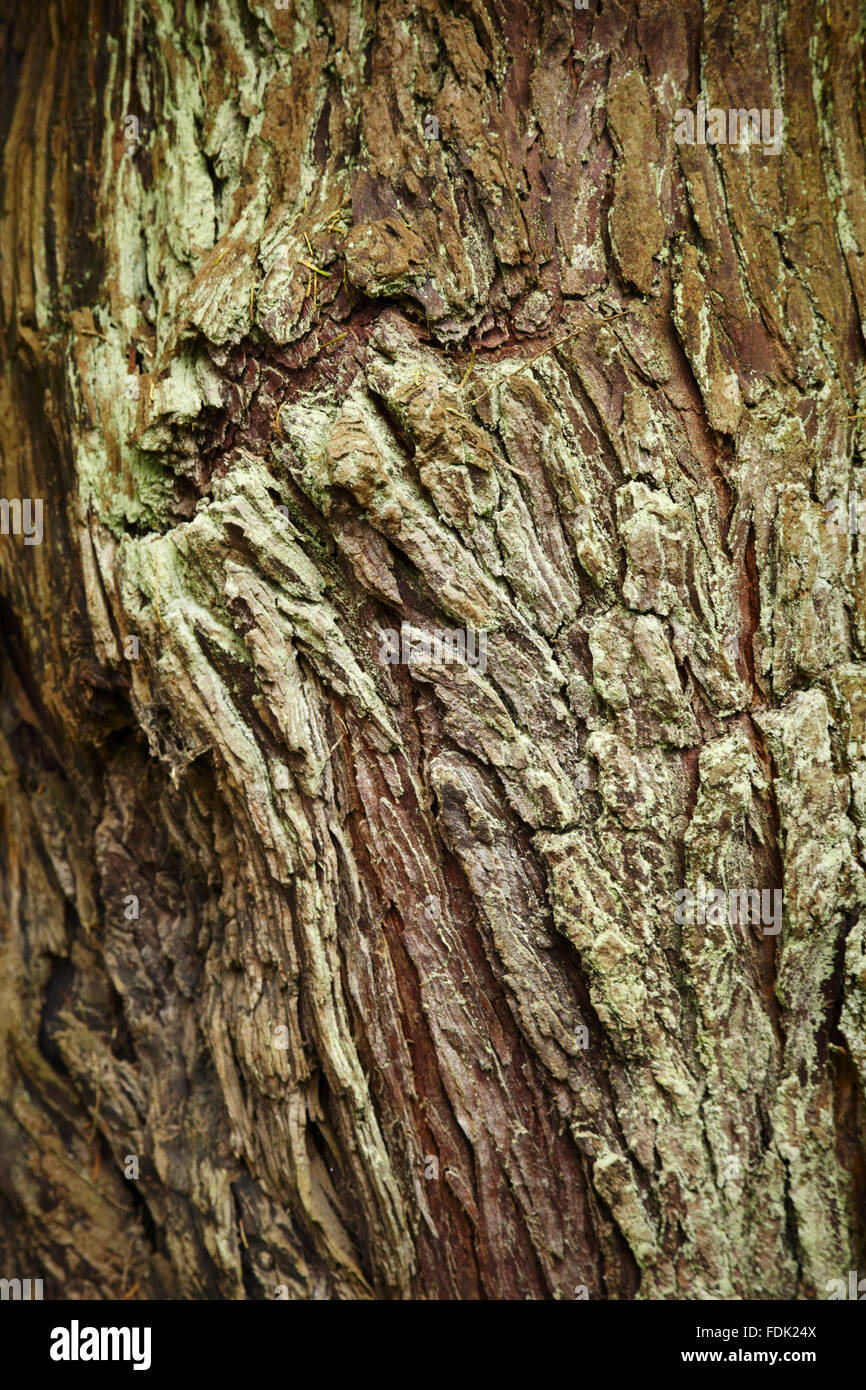 Bodnant gardens, wales view hi-res stock photography and images - Alamy