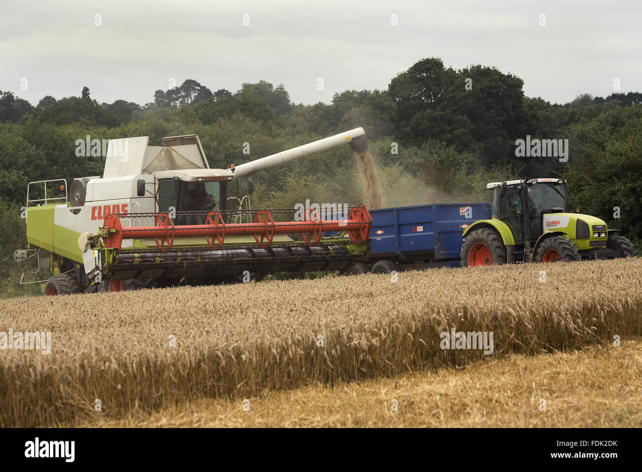 Mr arable hi-res stock photography and images - Alamy