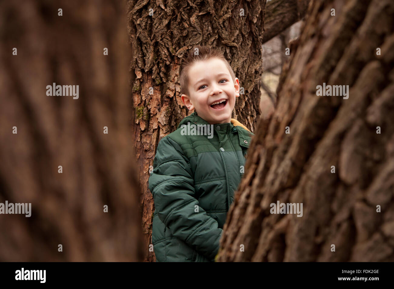 Boy sitting in a tree hi-res stock photography and images - Alamy