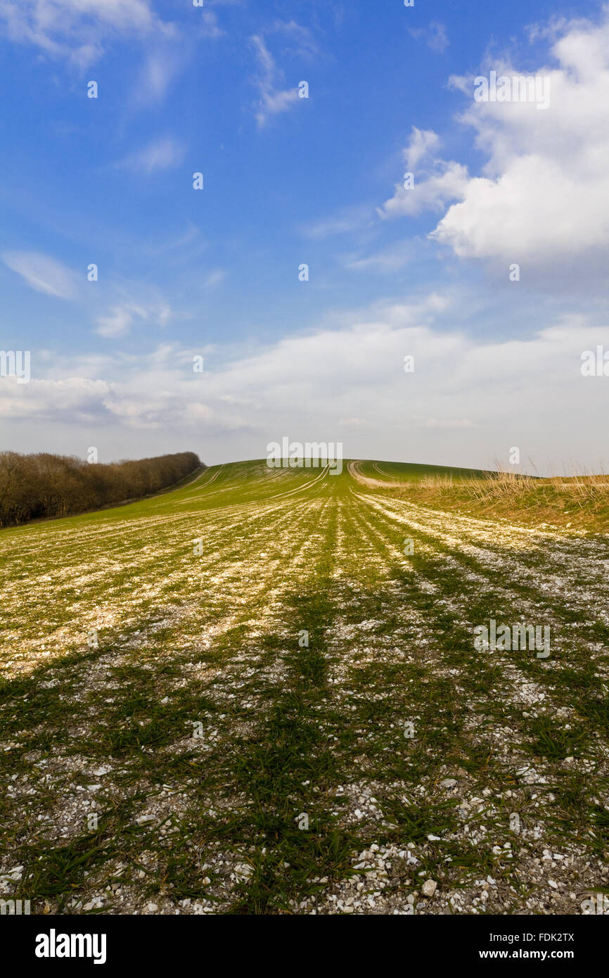 Slindon estate hi-res stock photography and images - Alamy