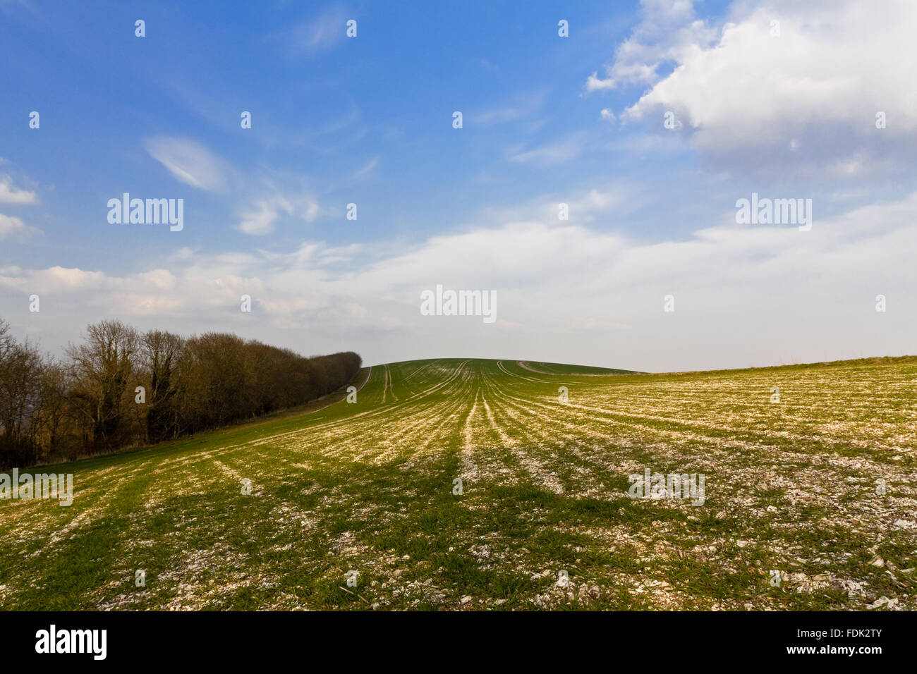 Slindon estate hi-res stock photography and images - Alamy