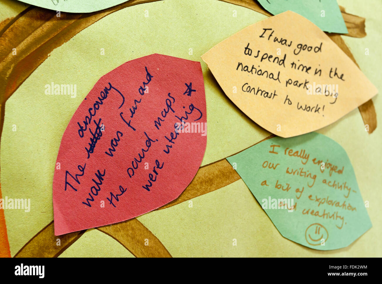 Visitor feedback display in the Moorland Discovery Centre on the ...