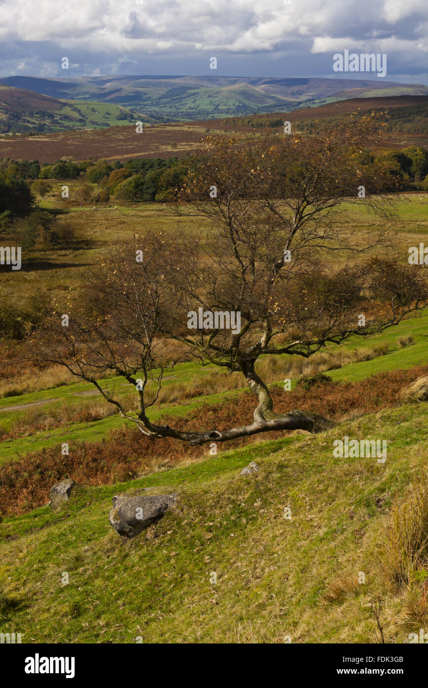 The Longshaw Estate, near Wooden Pole, Derbyshire, in October Stock ...