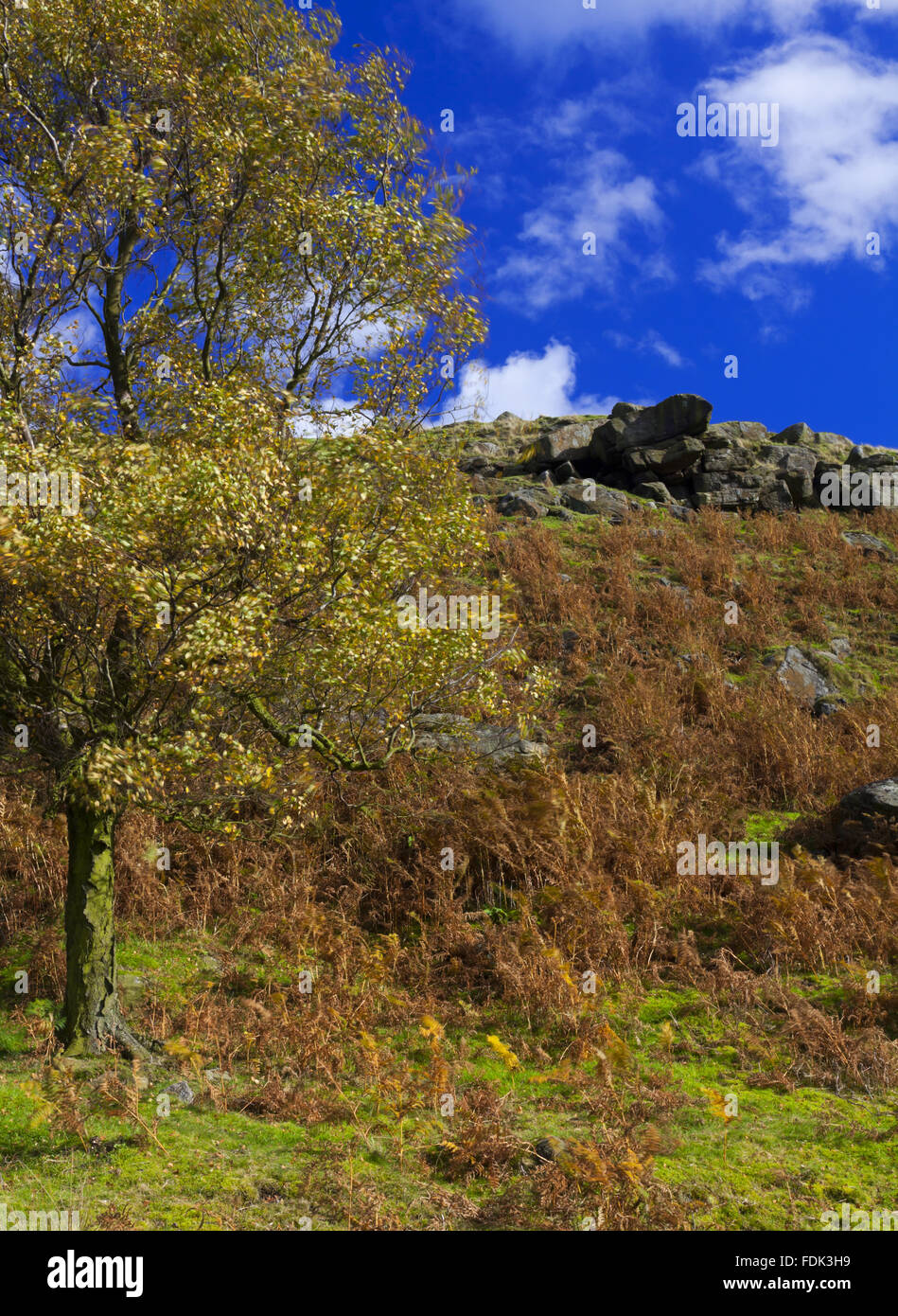 The Longshaw Estate, near Wooden Pole, Derbyshire, in October Stock ...