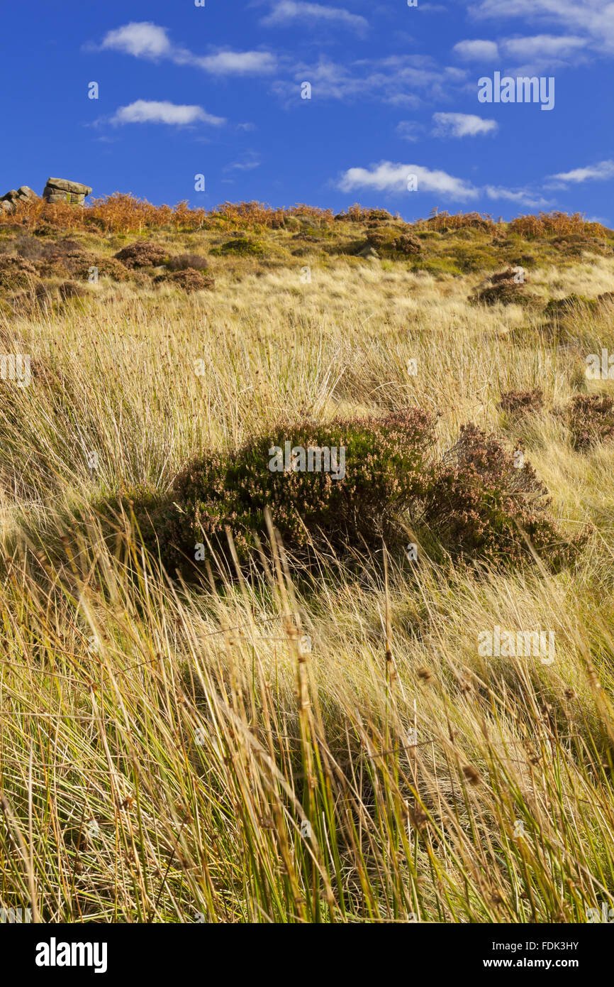 Longshaw estate white edge moor hi-res stock photography and images - Alamy