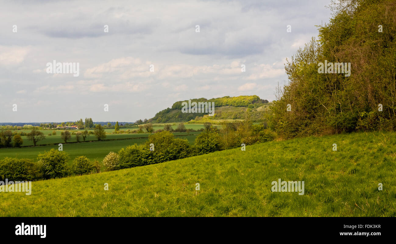 Sharpenhoe Clappers High Resolution Stock Photography and Images - Alamy
