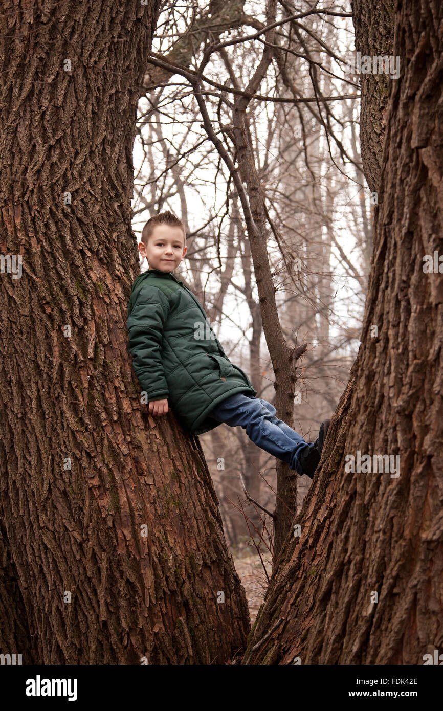 Boy climbing a tree Stock Photo - Alamy